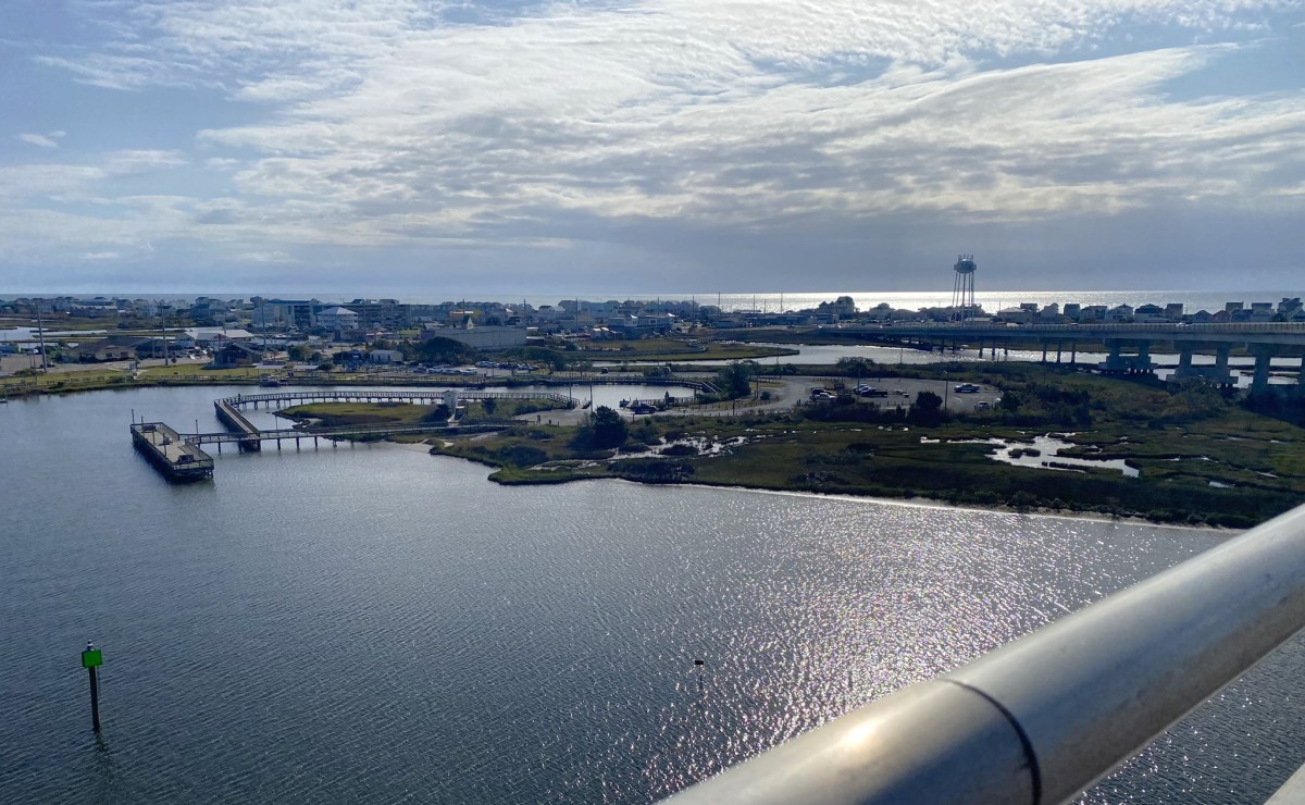 MST-48, segment 15 – My.Bird.Walks.